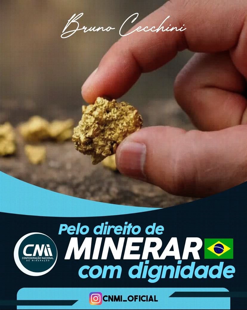 Bruno Cecchini – Ouro Legal: Riqueza que Gera Progresso para o Brasil ...